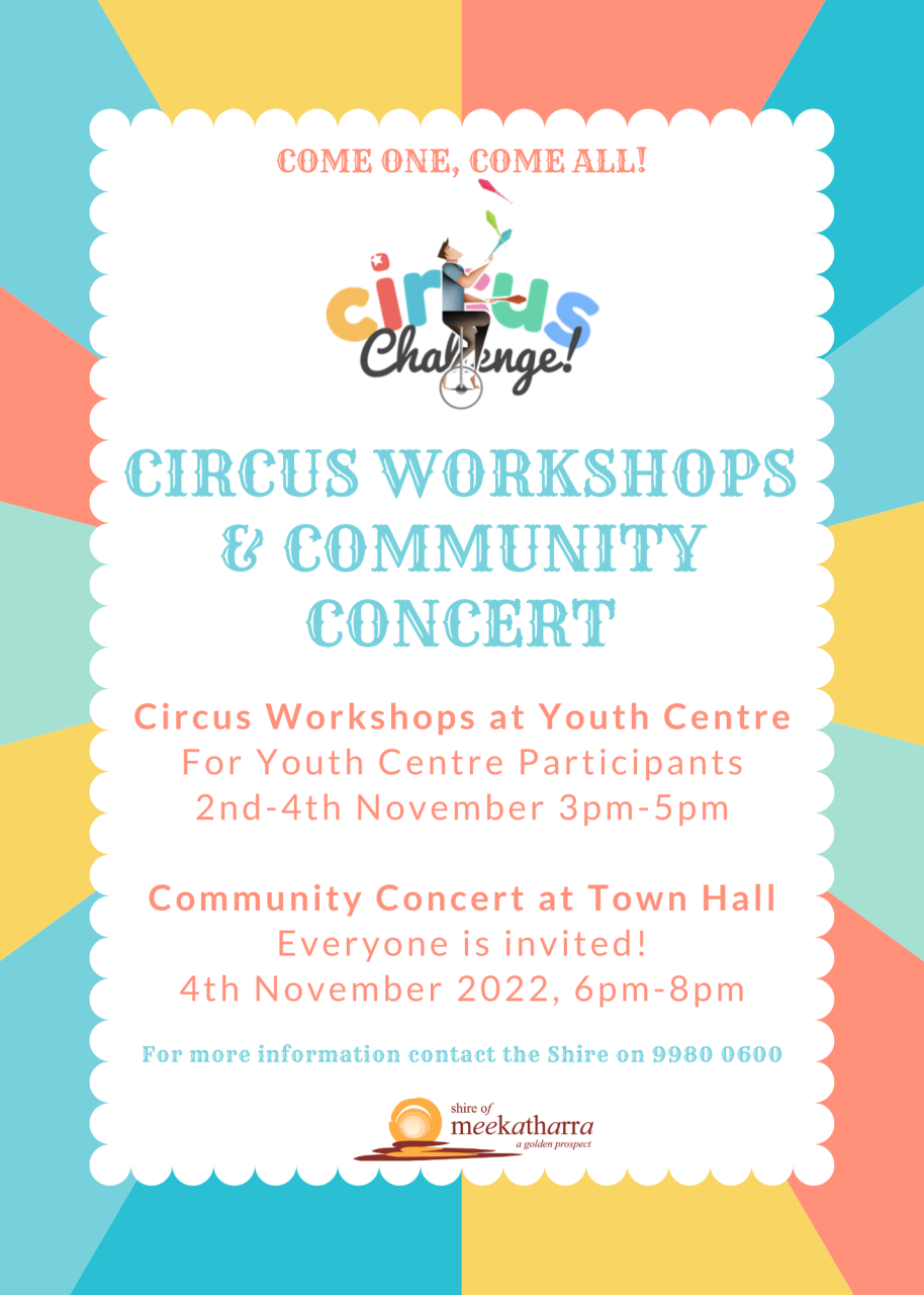 Circus Challenge Workshops and Performance » Shire of Meekatharra