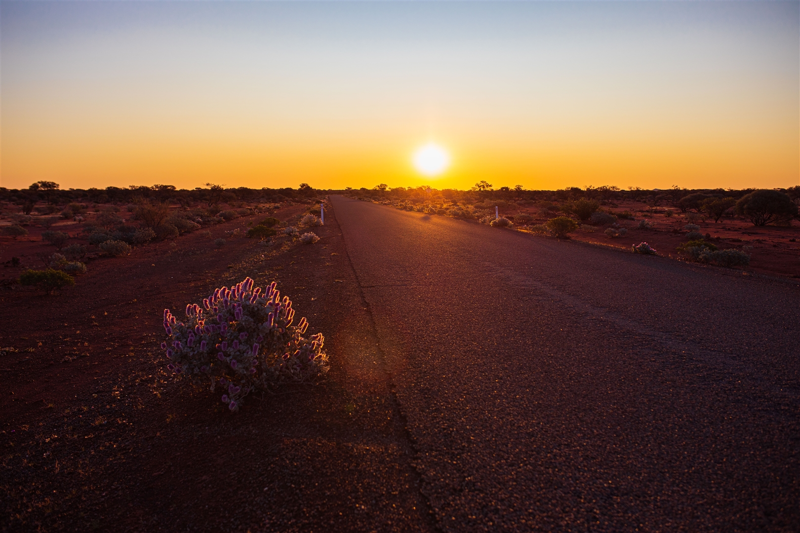 Home » Shire of Meekatharra