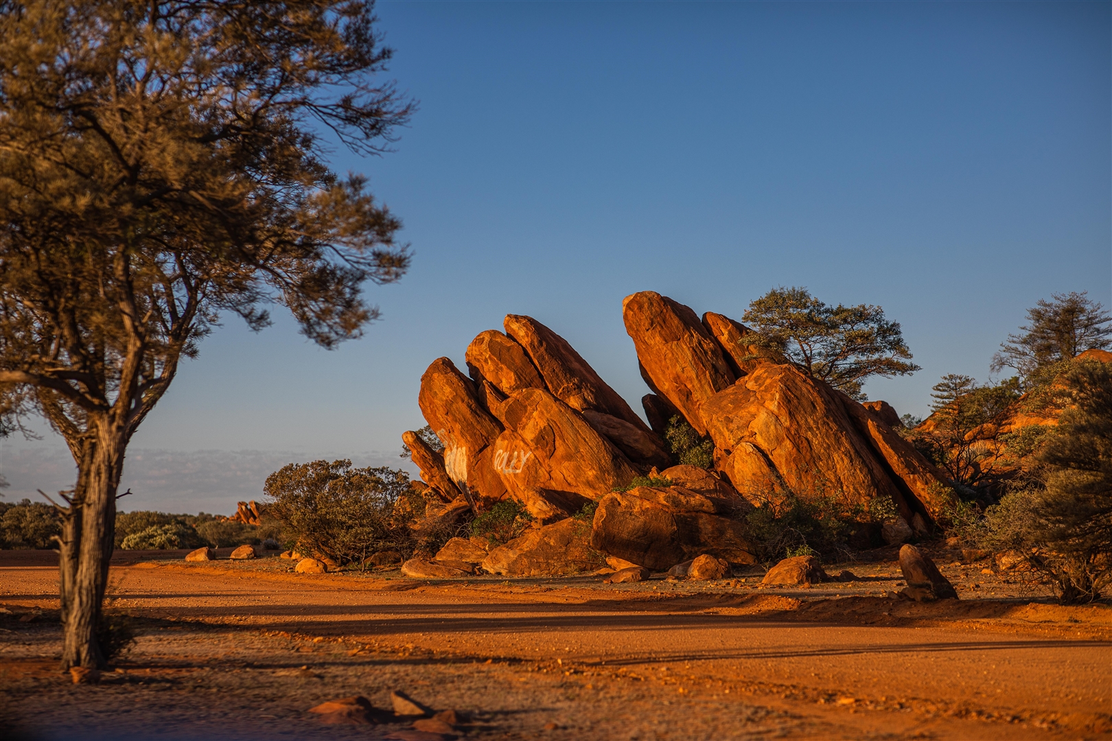 Home » Shire of Meekatharra