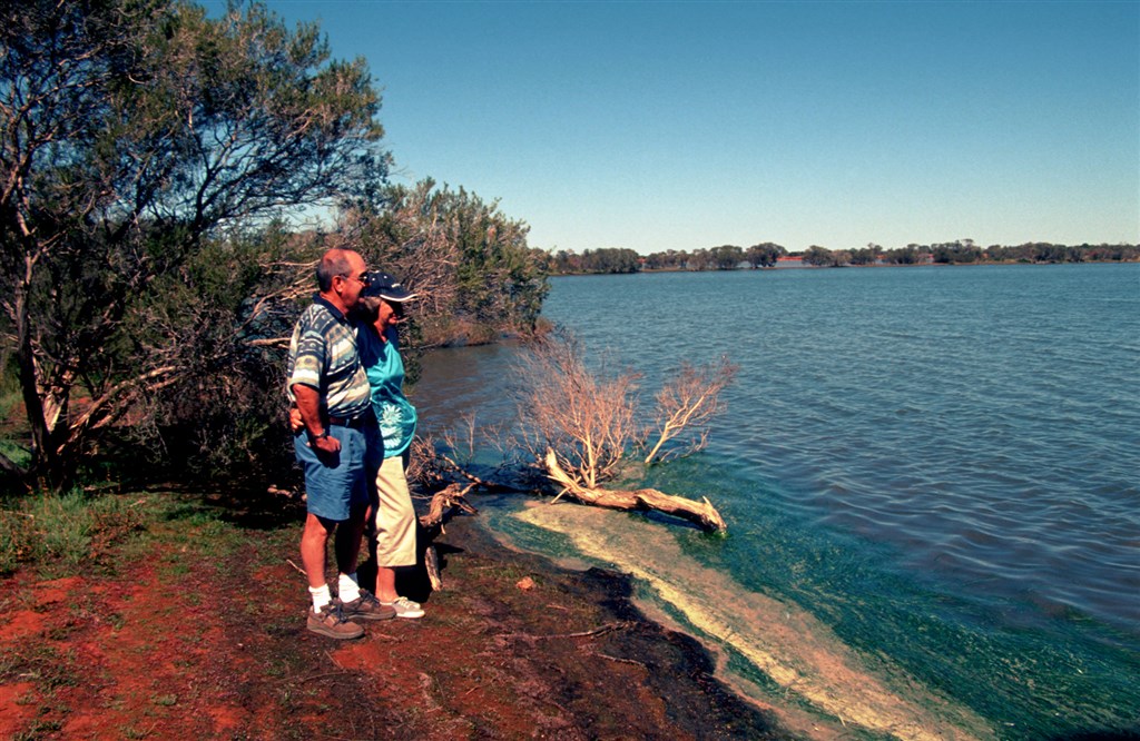 Home » Shire of Meekatharra